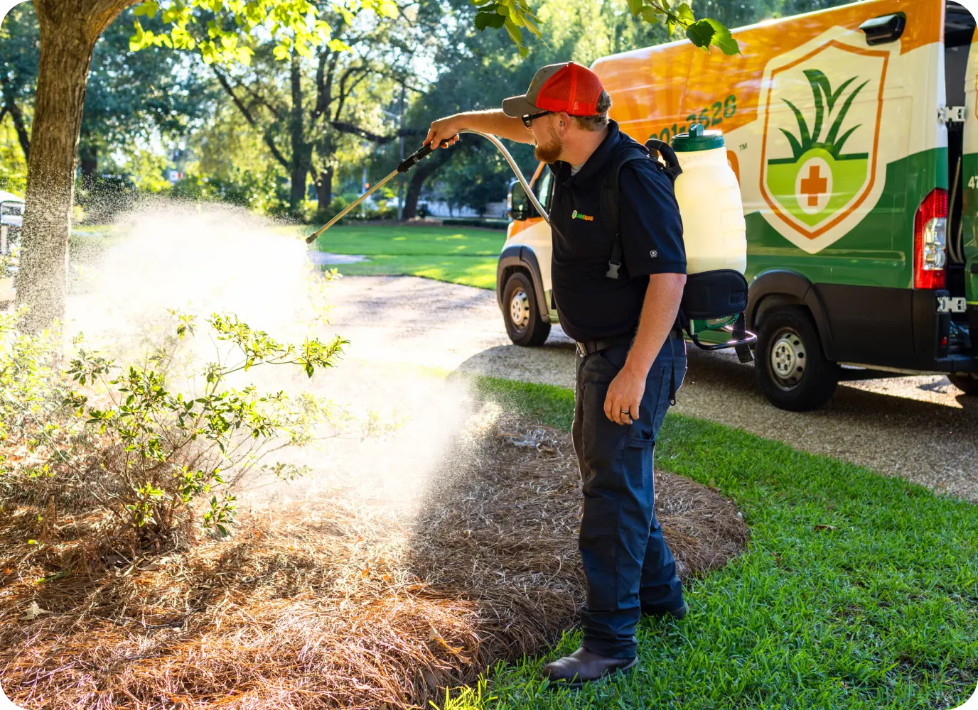 How to Build a Social Media Presence for Your Pest Control Business